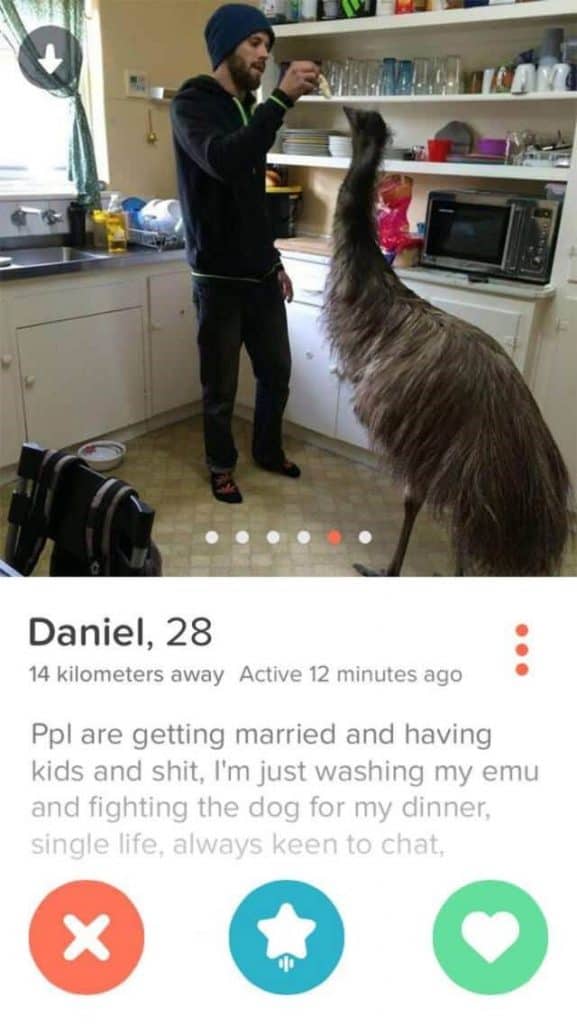 Funny Tinder Bios That Will Make You Swipe Right